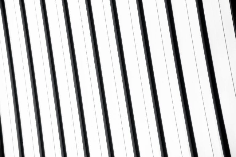 What Stripe’s Purchase of Bridge Means for Stablecoins in the U.S ...